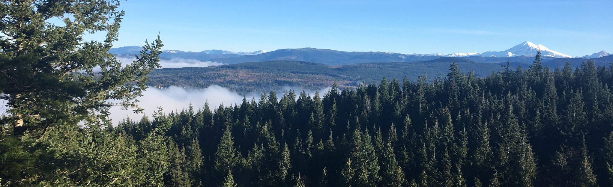 Chuckanut Ridge Trail, Washington - 236 Reviews, Map | AllTrails