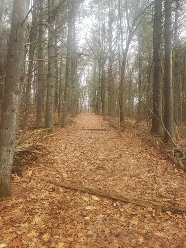 10 Best Hikes and Trails in Simsbury Land Trust | AllTrails