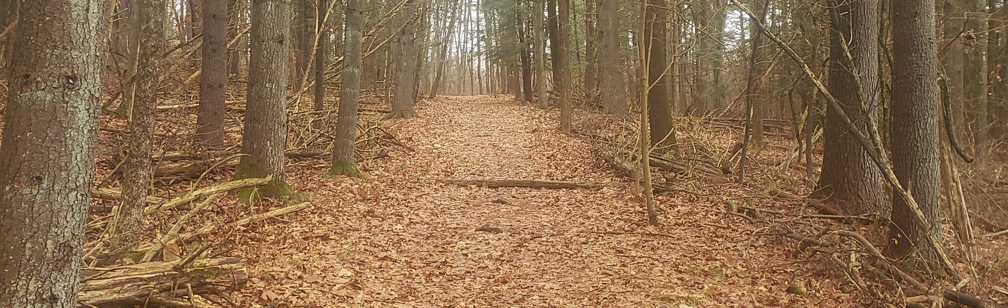 Owen Mortimer Trail, Connecticut - 57 Reviews, Map | AllTrails