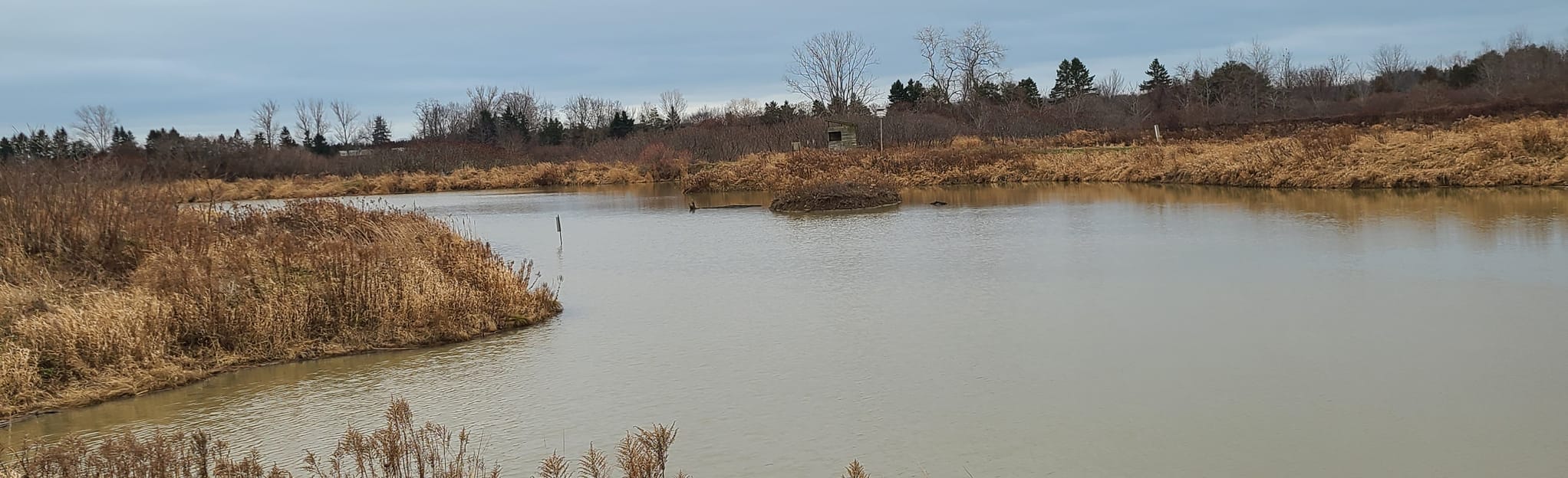 Ian Carmichael Pond Trail : 46 photos - Ontario, Canada | AllTrails
