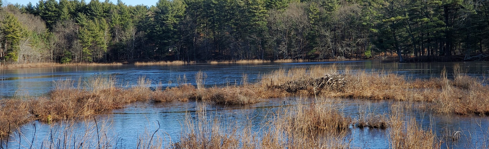 Bakers Meadow Pond and Shawsheen River, Massachusetts - 43 Reviews, Map ...