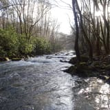 Tremont Logging History Auto Tour, Tennessee - 162 Reviews, Map | AllTrails