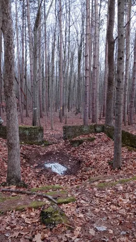 10 Best Hikes and Trails in Allegan State Game Area | AllTrails