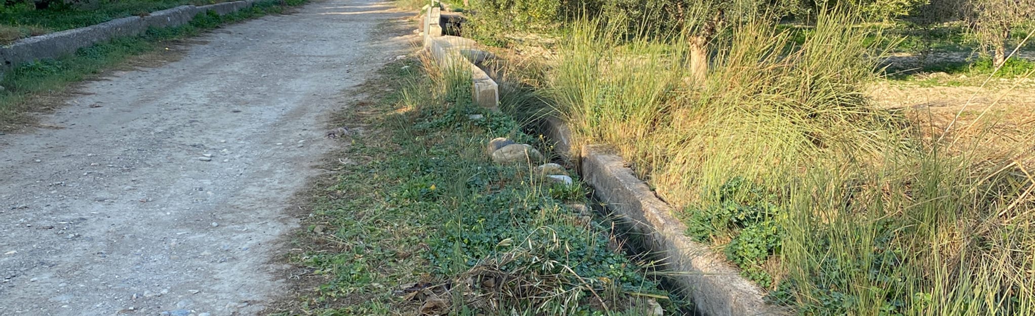 Arboleas - El Pilar - El Cucador, Almería, Spain - Map, Guide | AllTrails