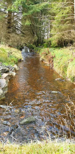 Best Hikes and Trails in Pomeroy Forest | AllTrails