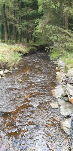 Best Hikes and Trails in Pomeroy Forest | AllTrails