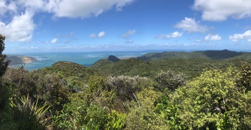 2023 Best 10 Views Trails in Waitakere Ranges Regional Park | AllTrails