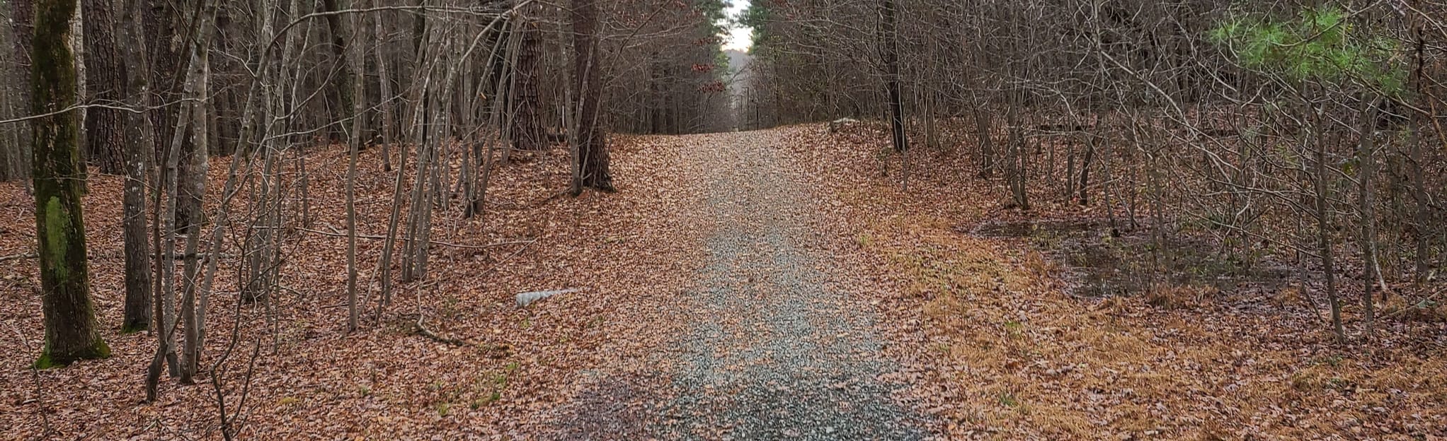 Owasa and Duke Power Corridors: 69 Reviews, Map - North Carolina ...