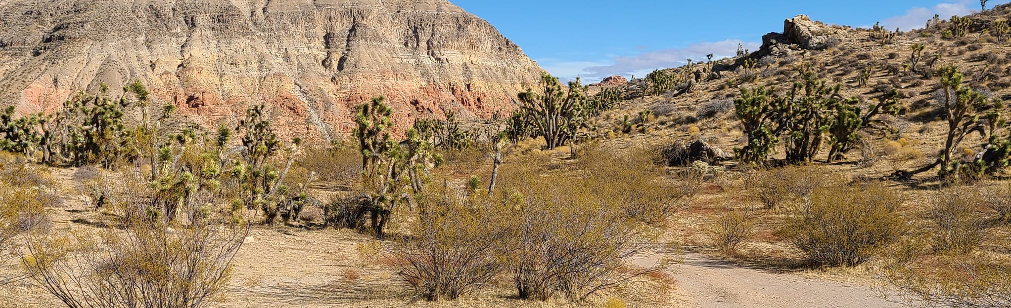 Cedar Pocket Wash Overlook - Arizona | AllTrails