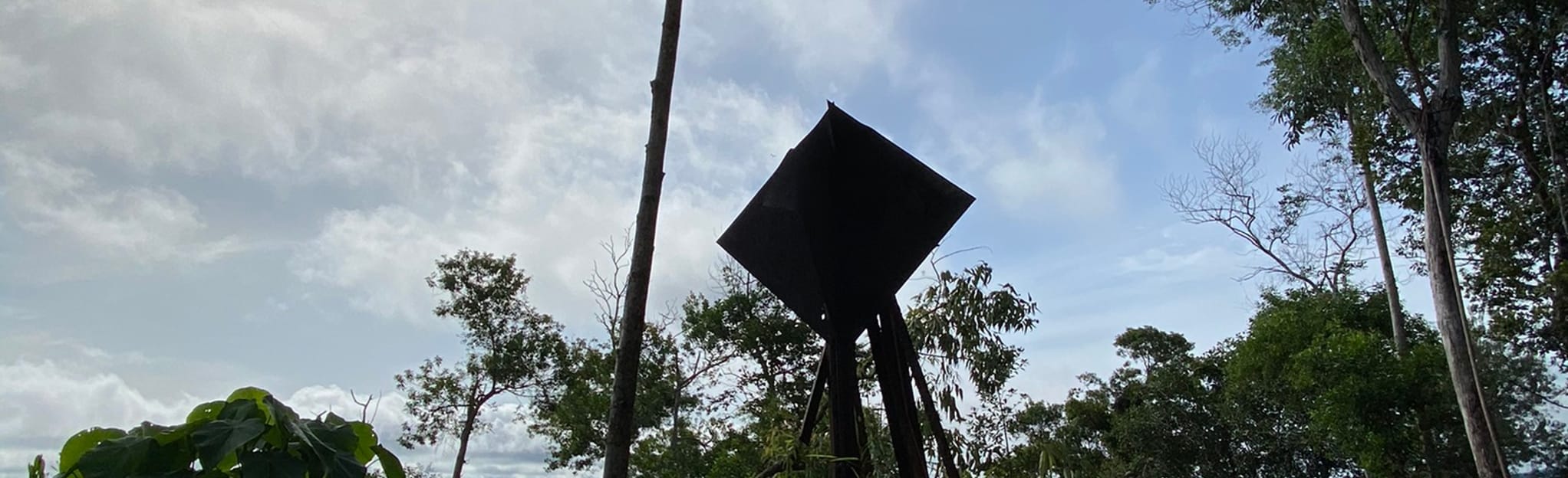 Puk Belaban Trail: 1 foto's - Tutong, Brunei | AllTrails