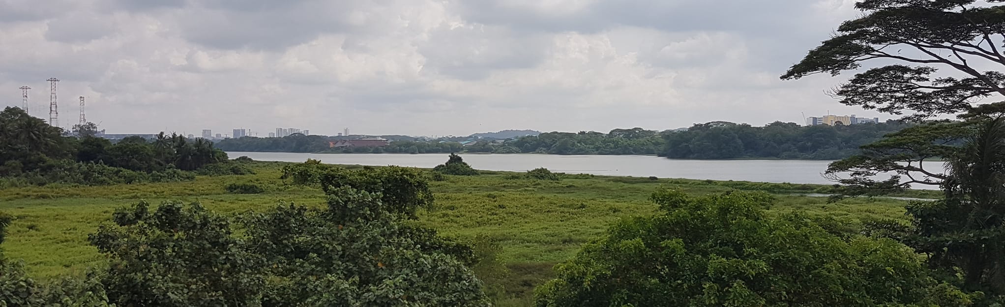 Kranji Marshes Trail: 26 Reviews, Map - Central, Singapore | AllTrails