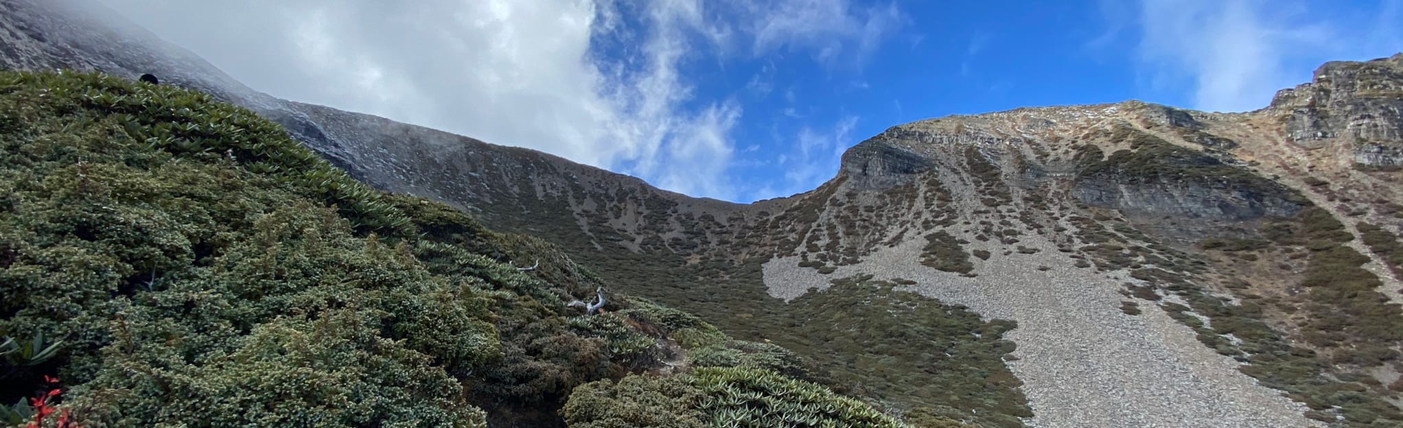 Xueshan Main Peak, Taichung City, Taiwan - 8 Reviews, Map | AllTrails