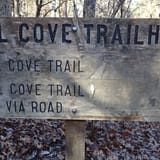 Cecil Cove Loop Trail, Arkansas - 148 Reviews, Map | AllTrails