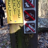 Cecil Cove Loop Trail, Arkansas - 148 Reviews, Map | AllTrails