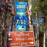 Cecil Cove Loop Trail, Arkansas - 148 Reviews, Map | AllTrails