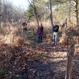 Cecil Cove Loop Trail, Arkansas - 157 Reviews, Map | AllTrails