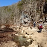Cecil Cove Loop Trail, Arkansas - 157 Reviews, Map | AllTrails