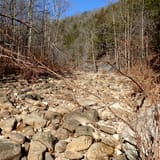 Cecil Cove Loop Trail, Arkansas - 157 Reviews, Map | AllTrails