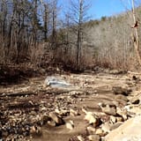 Cecil Cove Loop Trail, Arkansas - 157 Reviews, Map | AllTrails