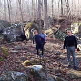 Cecil Cove Loop Trail, Arkansas - 157 Reviews, Map | AllTrails