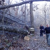 Cecil Cove Loop Trail, Arkansas - 157 Reviews, Map | AllTrails