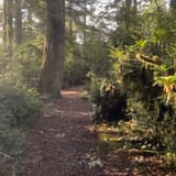Cutler Wetlands Open Space Loop, Oregon - 103 Reviews, Map | AllTrails