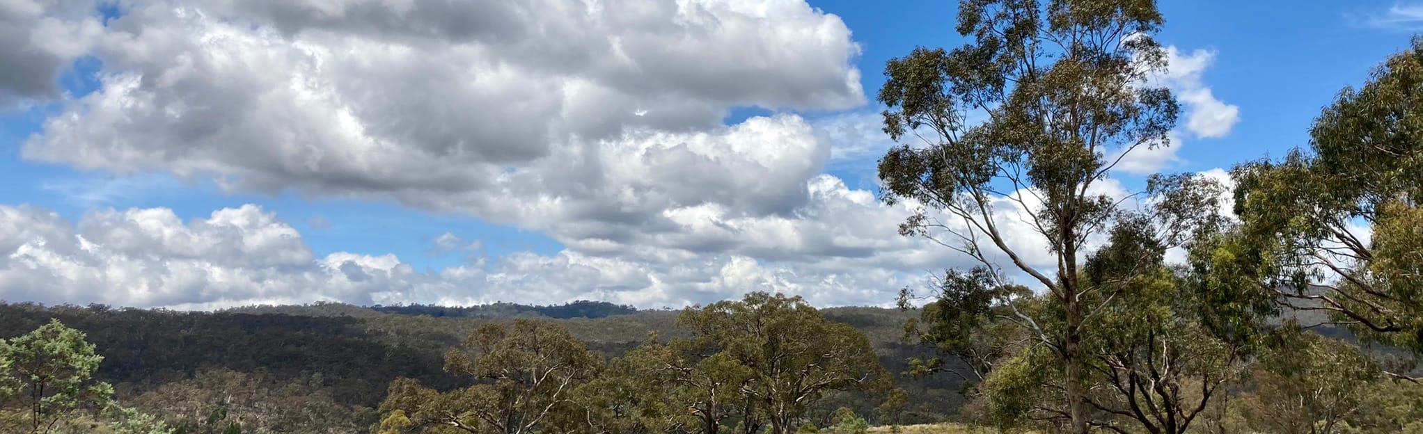 Queanbeyan River Walk: 122 Fotos - New South Wales, Australien ...