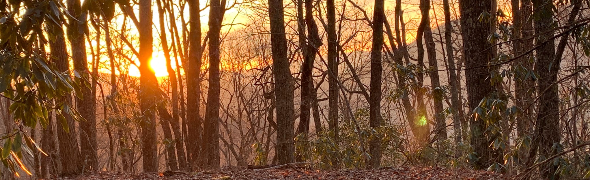 Thomas Divide, Deep Low Gap, and Indian Creek Motor Trail: 39 Reviews ...