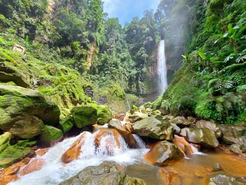 2023 Best 10 Forest Trails in Mount Halimun Salak National Park | AllTrails