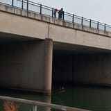 Four Mile Run Trail, Virginia - 425 Reviews, Map | AllTrails