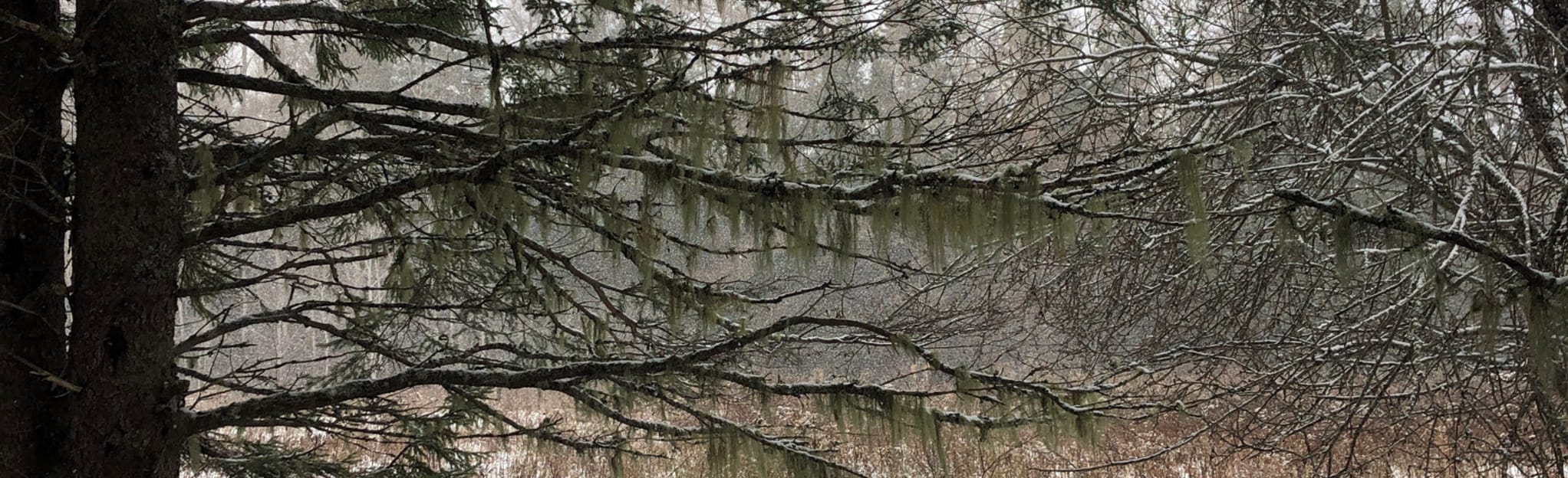 Dromore Woodland Trails South Loop, Prince Edward Island, Canada - 48 ...