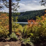 Warren Lake Trail, Oregon - 27 Reviews, Map | AllTrails