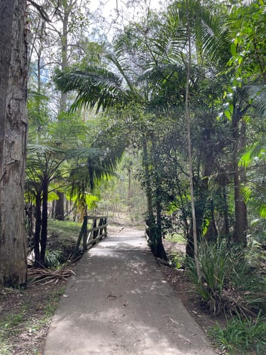 2023 Best Walking Trails in Cornubia Forest Nature Refuge | AllTrails