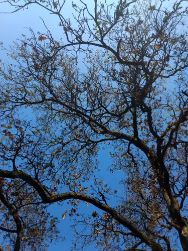 Best Hikes and Trails in Howe Community Park | AllTrails