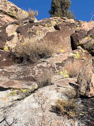 Best Hikes and Trails in Basin and Range National Monument | AllTrails