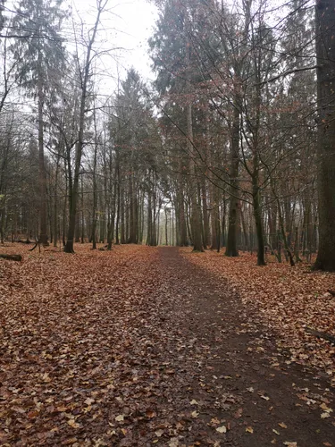Best Historic Site Trails in Sachsenwald | AllTrails