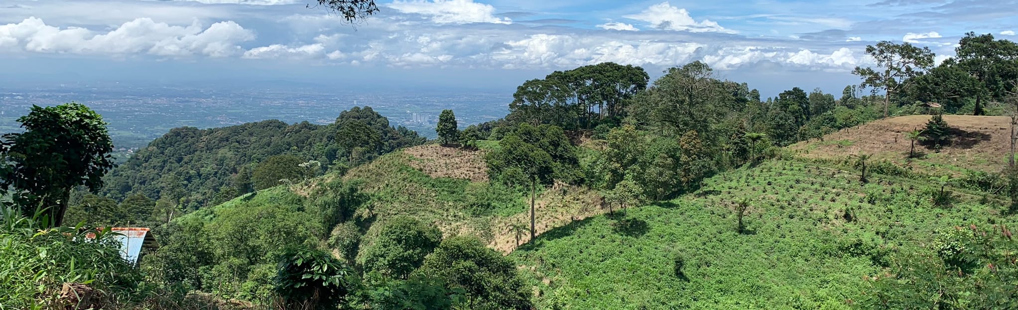 Cisadon Trail, West Java, Indonesia - 4 Reviews, Map | AllTrails