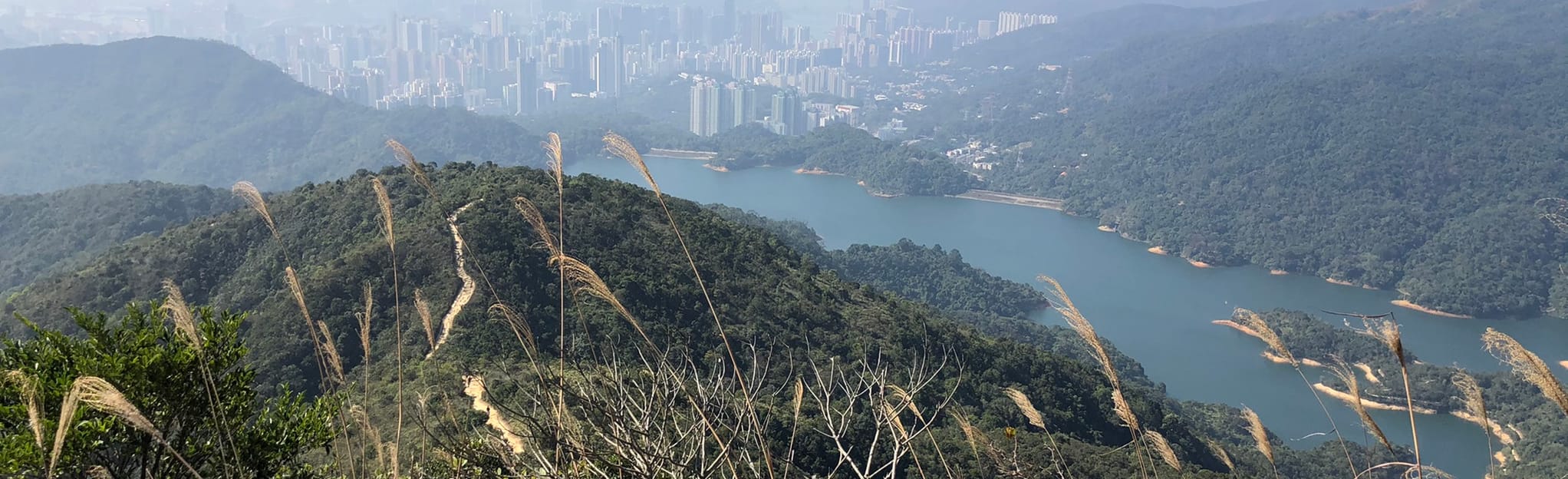 Shatin - Needle Hill: 15 Reviews, Map - Sha Tin, Hong Kong | AllTrails