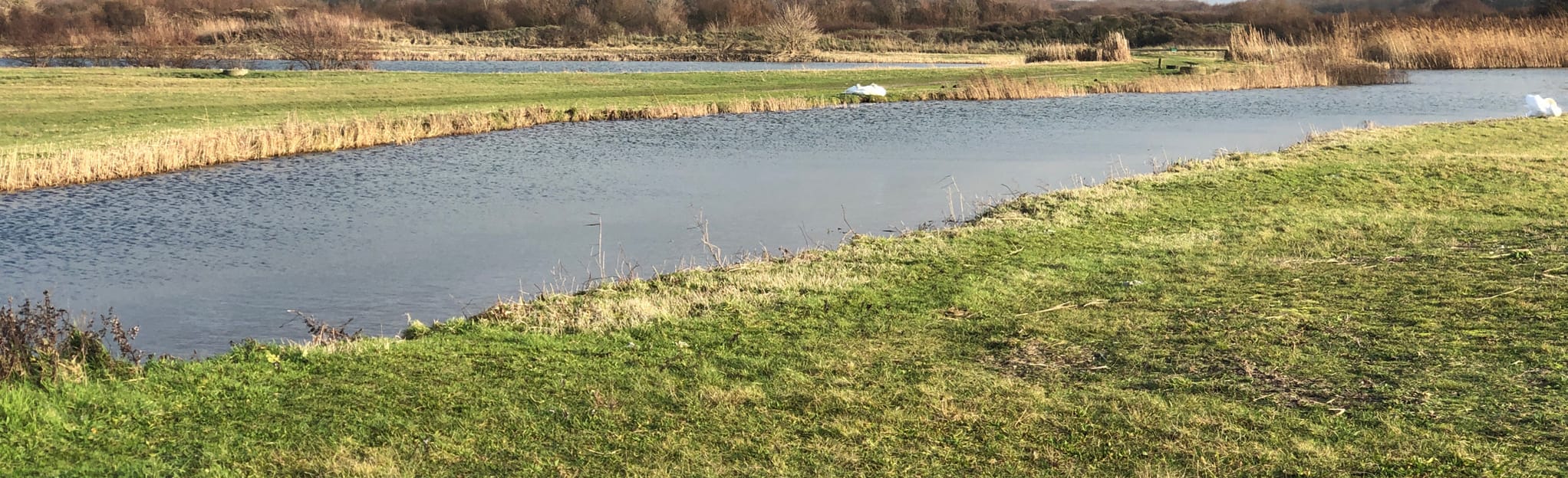 Zeeweg - De Kwal - Kruisberg: 113 foto's - Noord-Holland, Nederland ...