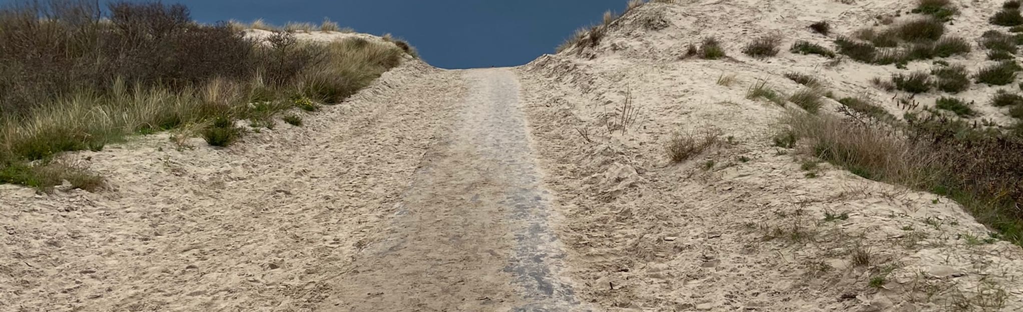 Groenendijk, West Flanders, Belgium - 9 Reviews, Map | AllTrails