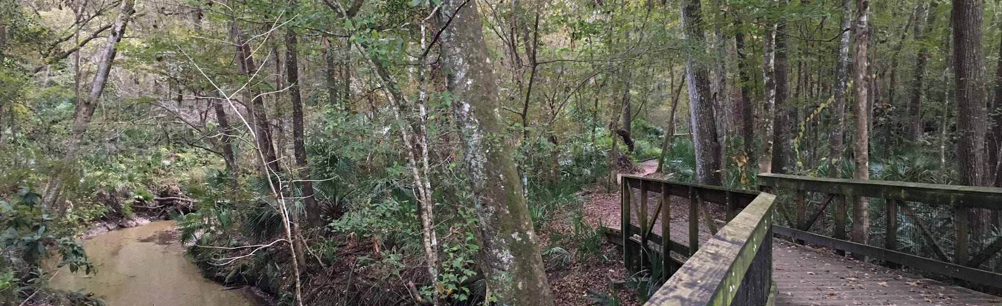 Alfred A Ring Park Trail: 235 Reviews, Map - Florida | AllTrails