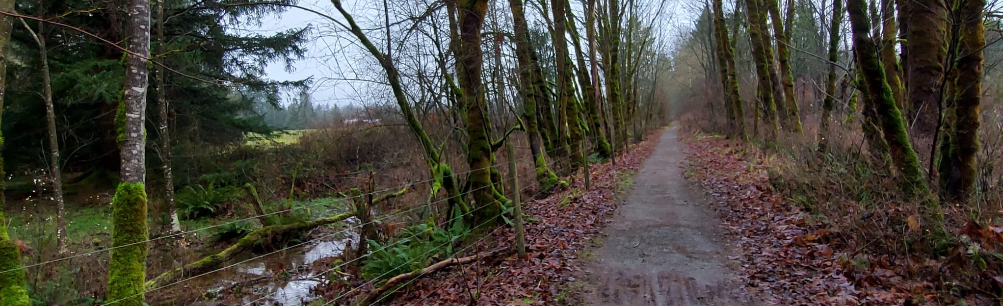 One Spot Trail - British Columbia, Canada | AllTrails