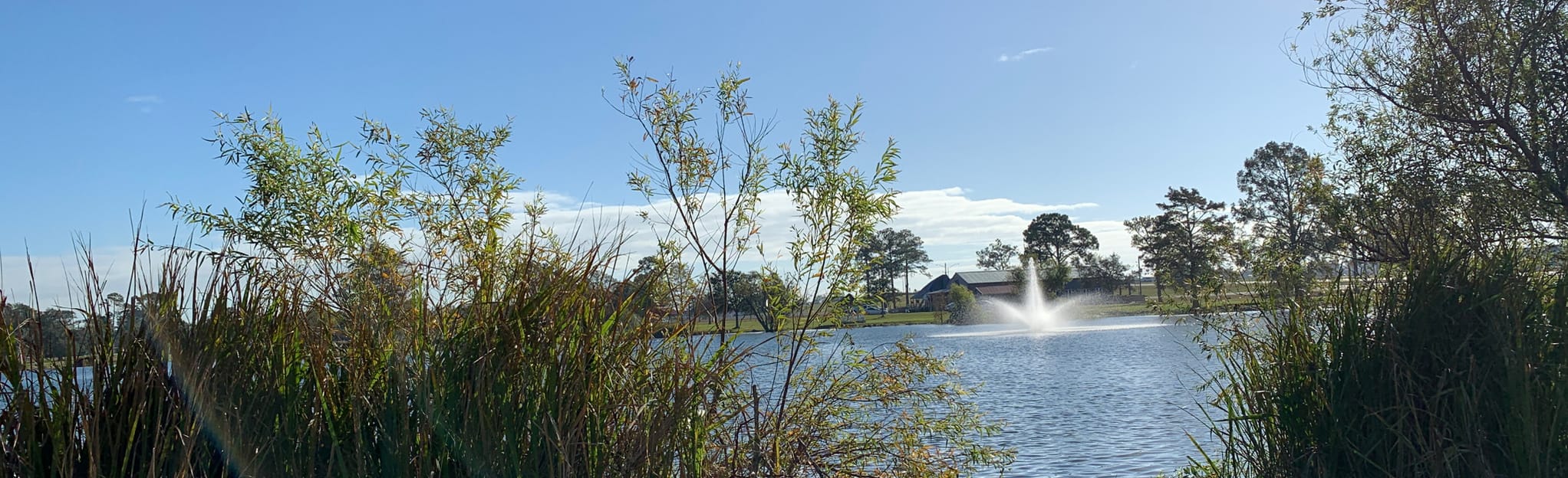 Gator Chateau Pond Loop, Louisiana - 53 Reviews, Map | AllTrails