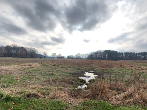 Best Hikes and Trails in Wye Island Natural Resource Management Area ...