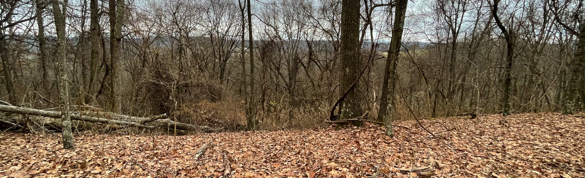 AllTrails | Sinking Waters Trail: 146 Reviews, Map - Tennessee