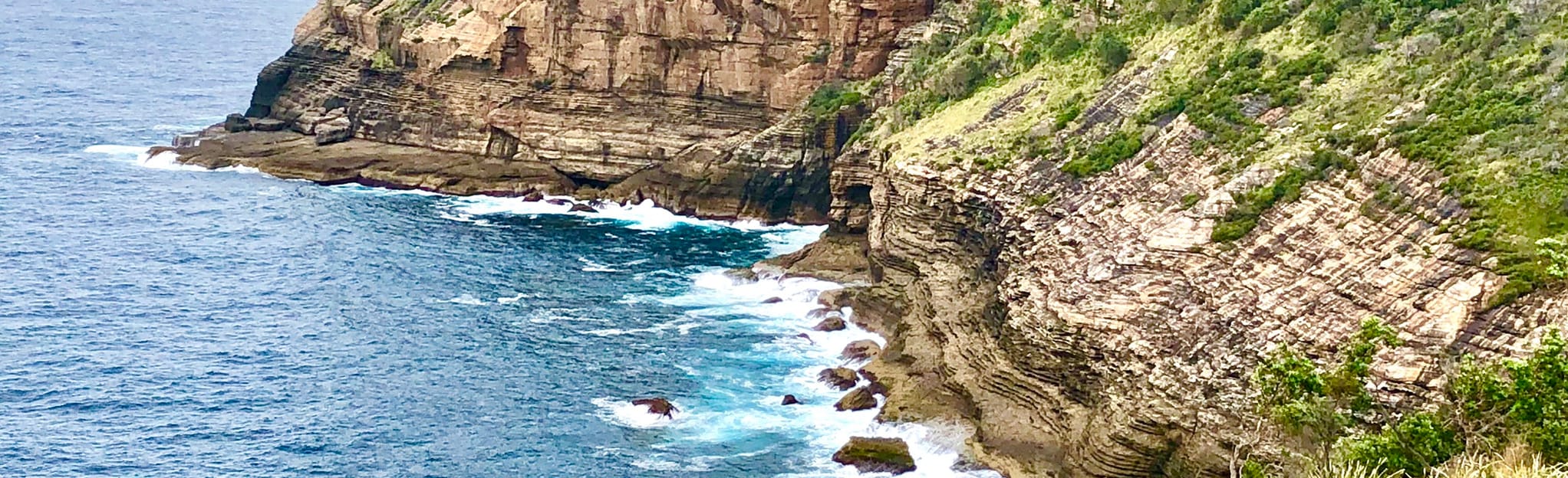 Cabbage Tree Paradise Stoney Creek, New South Wales, Australia - 4 ...