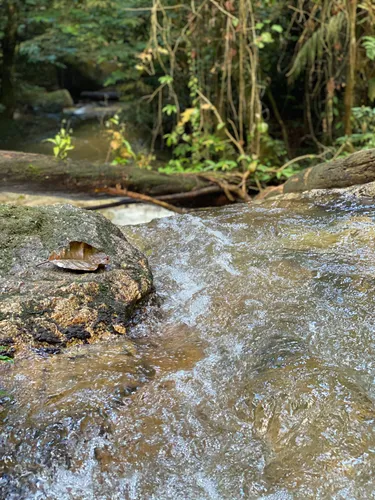 2023 Best Walking Trails in Sungai Buloh | AllTrails