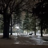 Rundle Park Riverside Trail, Alberta, Canada - 217 Reviews, Map | AllTrails