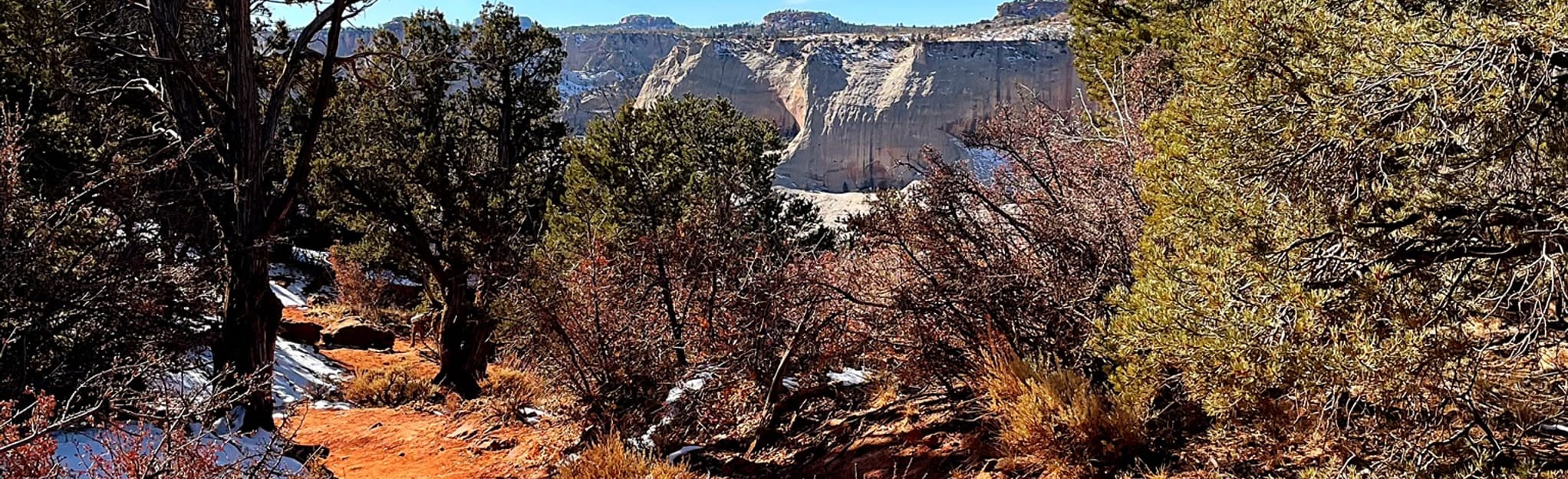 Observation Point via East Rim and East Mesa Trail [CLOSED], Utah ...