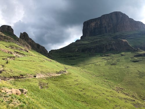 Best Hikes and Trails in Enseleni Nature Reserve | AllTrails